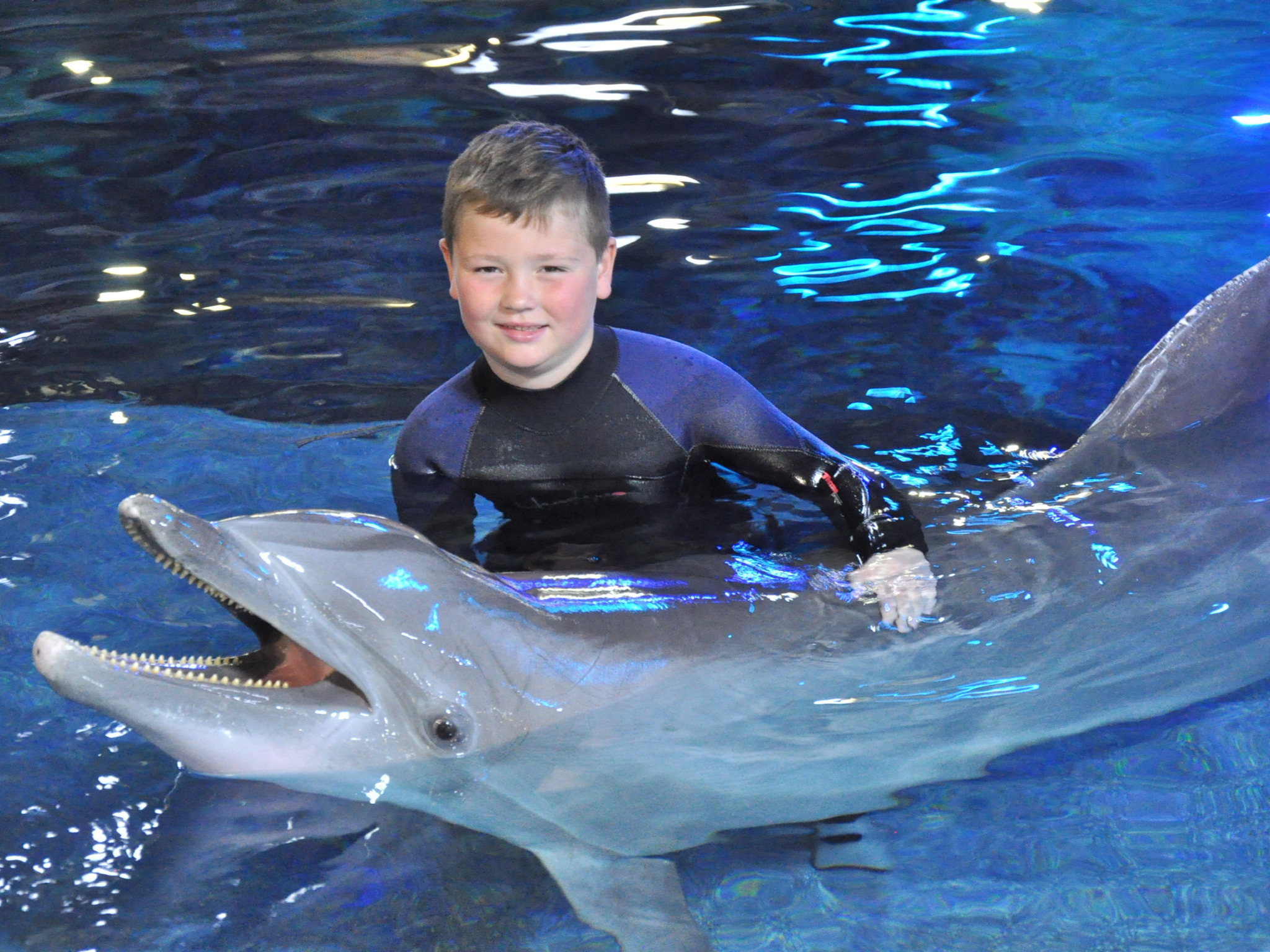 Liam Canham's Reading Adventure